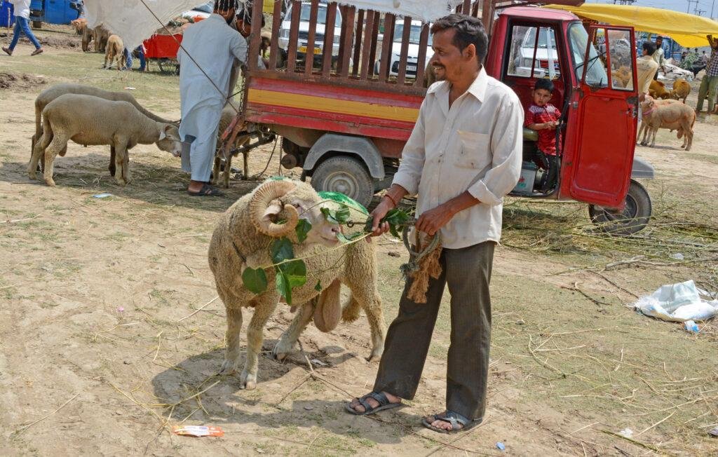 `For God, all are equal’: Meet Hindu roadside vendor who feeds ice cream, fruits to ‘Qurbani ...