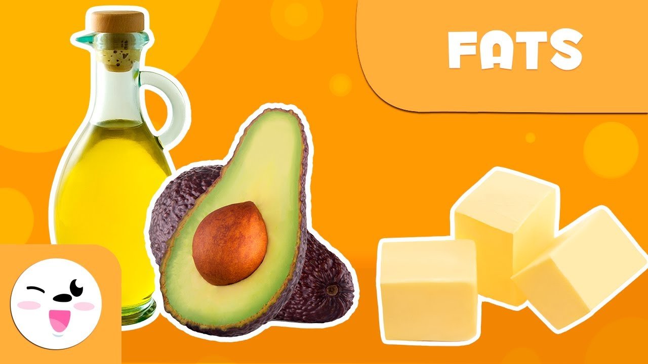 What are fats? – Healthy Eating for Kids – Weight Loss For Women